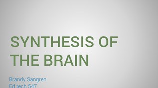 How the Brain works at emaze Presentation