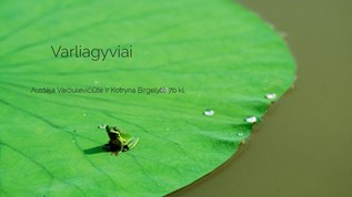 Apie varliagyvius. Austėja Vaičiulevičiūtė ir Kotryna Birgelytė 7b kl ...