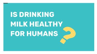 Is drink at emaze Presentation