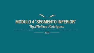 Modulo 4 "Segmento inferior" at emaze Presentation