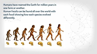 Evolution of Man powerpoint (2).pptx at emaze Presentation