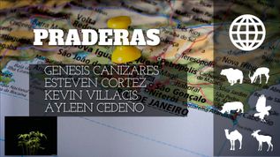 praderas at emaze Presentation