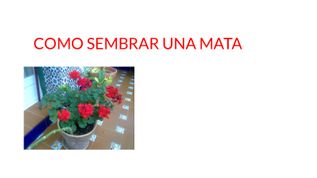 COMO SEMBRAR UNA MATA at emaze Presentation