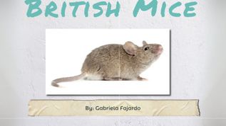 British Mice at emaze Presentation