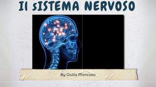 Il sISTEMA NERVOSO at emaze Presentation