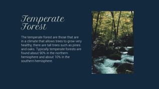 Temperate Forest at emaze Presentation