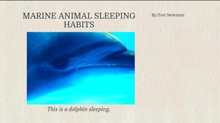 Marine Animal Sleeping Habits at emaze Presentation