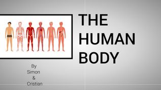 Body 2c at emaze Presentation