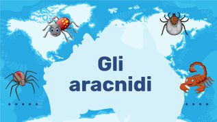 Gli aracnidi at emaze Presentation