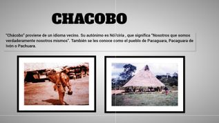 chacobo at emaze Presentation