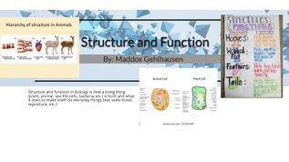 Structure and Function on emaze