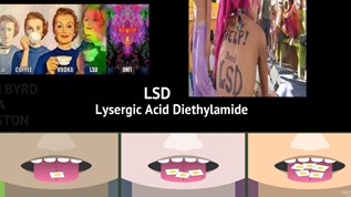 LSD PROJECT ..CAM MIRA BENJI at emaze Presentation