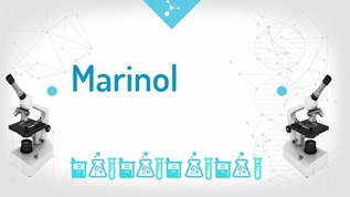 Marinol at emaze Presentation