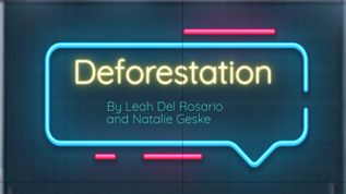 Deforestation at emaze Presentation