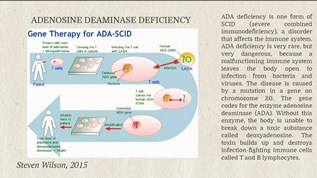 ADA Deficiency at emaze Presentation