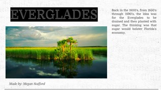 everglades at emaze Presentation