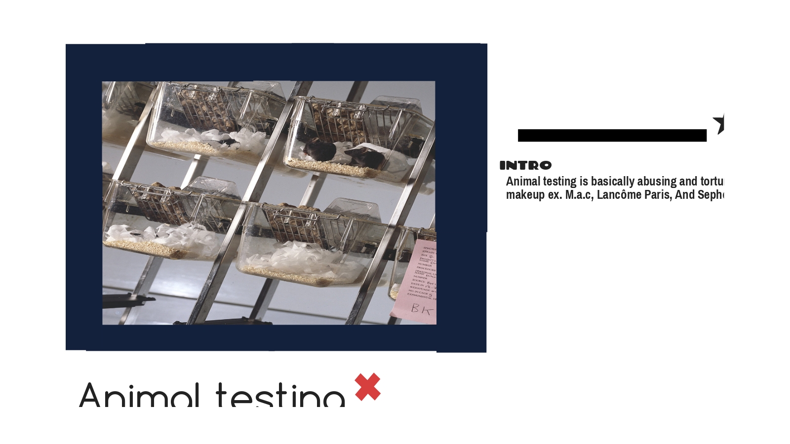Animal testing at emaze Presentation