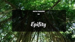 Epifity at emaze Presentation