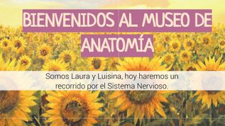 Sis at emaze Presentation