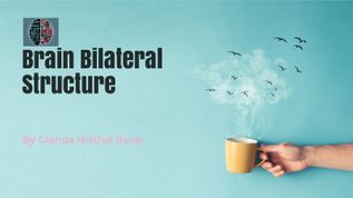 Brain Bilateral Structure at emaze Presentation