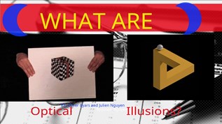 OPTICAL ILLUSION PRESENTATION JULIEN copy1 at emaze Presentation