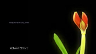 Richard Elmore Presentation2.pptx at emaze Presentation