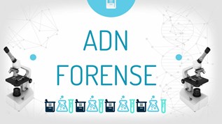 ADN FORENSE at emaze Presentation