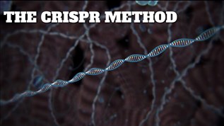 CRISPR Method at emaze Presentation