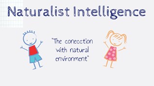 Naturalist intelligence at emaze Presentation