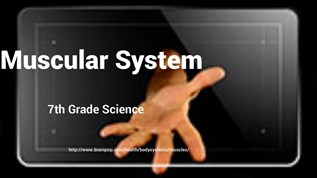 Muscular System Notes.pptx at emaze Presentation