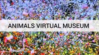 Animals virtual museum at emaze Presentation