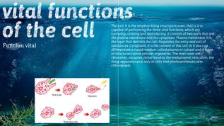 vital functions of the cell at emaze Presentation
