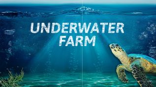 UNDERWATER FARM at emaze Presentation