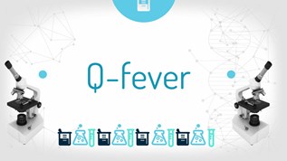 Q-fever at emaze Presentation