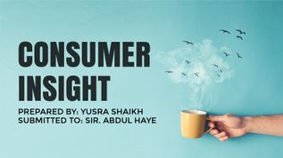 CONSUMER INSIGHT at emaze Presentation