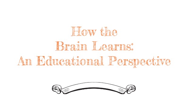 How the brain learns at emaze Presentation