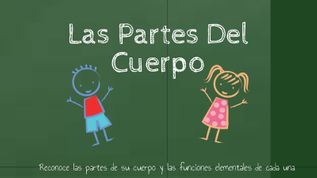 Las Partes Del Cuerpo 11 At Emaze Presentation