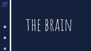 The brain at emaze Presentation