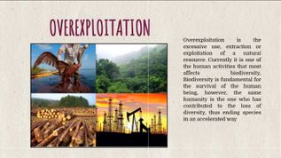 overexploitation at emaze Presentation