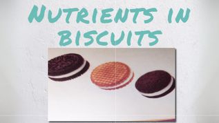 Nutrients in biscuits at emaze Presentation