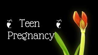 victoria knudsen at emaze Presentation