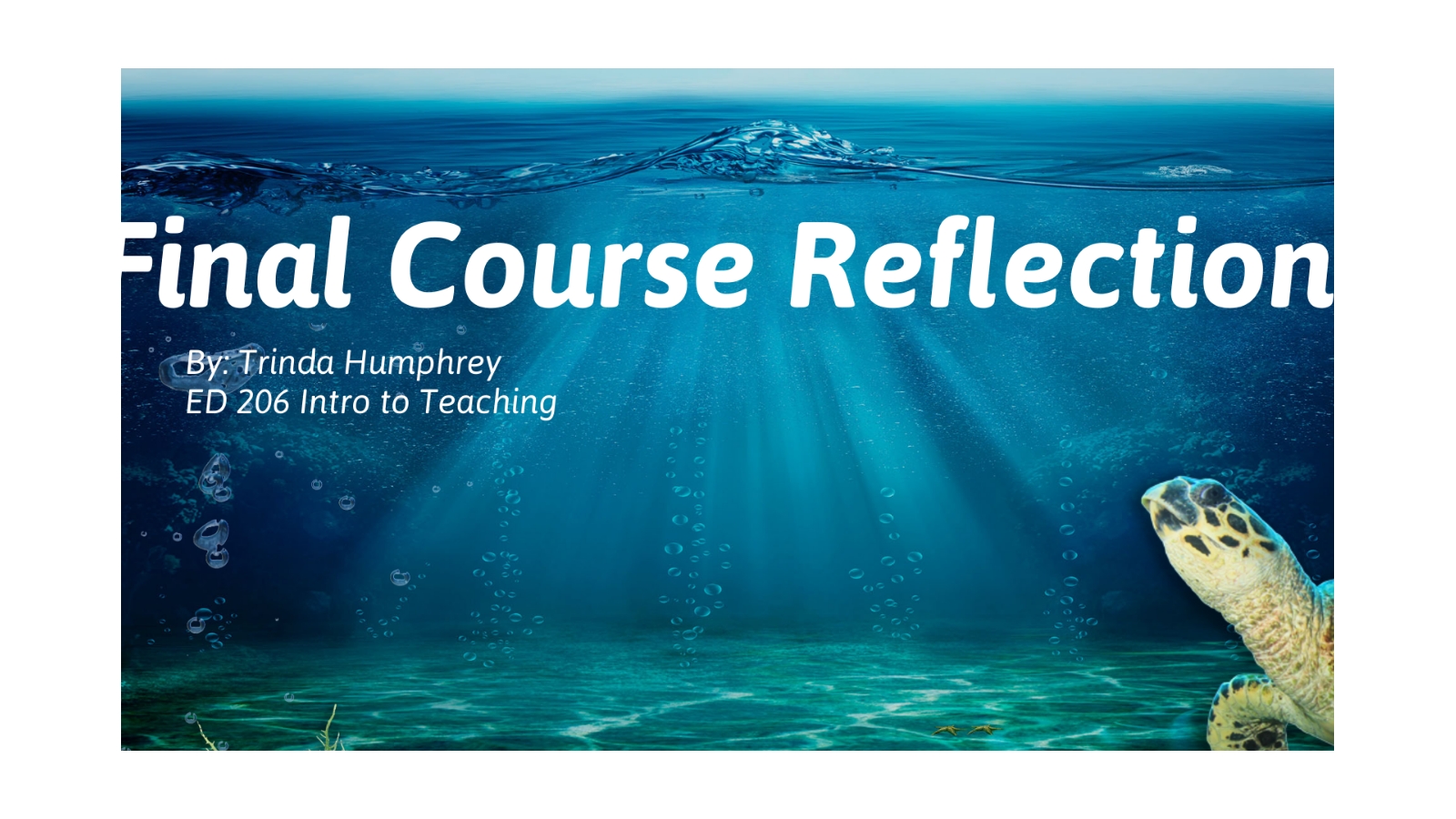 Final Course Reflections at emaze Presentation