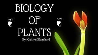 biology of plants at emaze Presentation