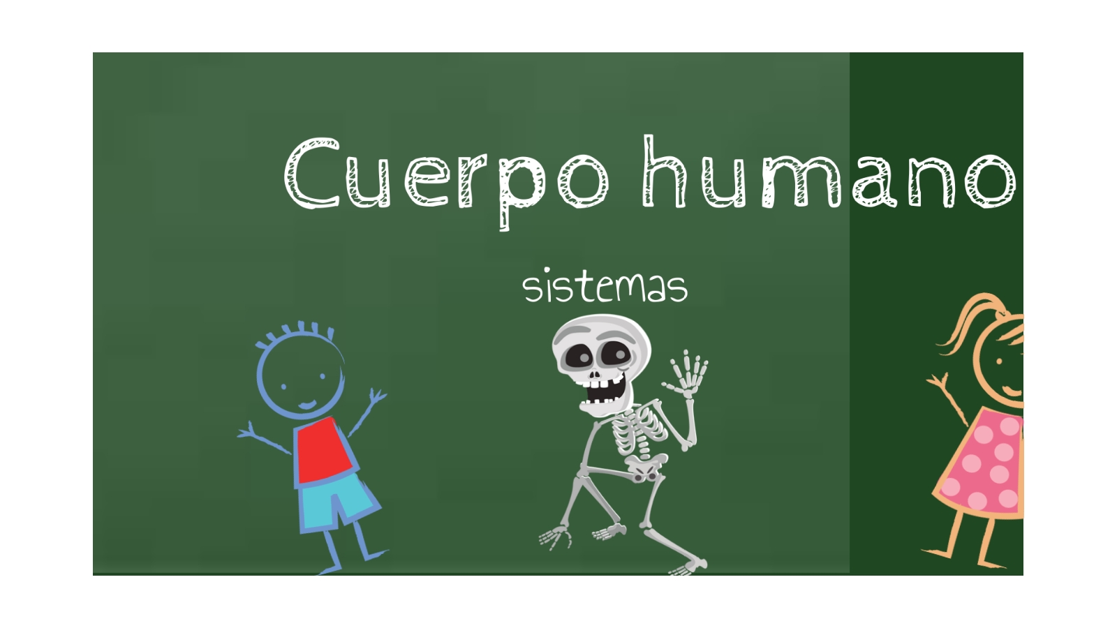 Cuerpo Humano At Emaze Presentation