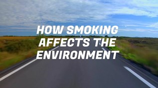How Smoking Affects The Environment at emaze Presentation