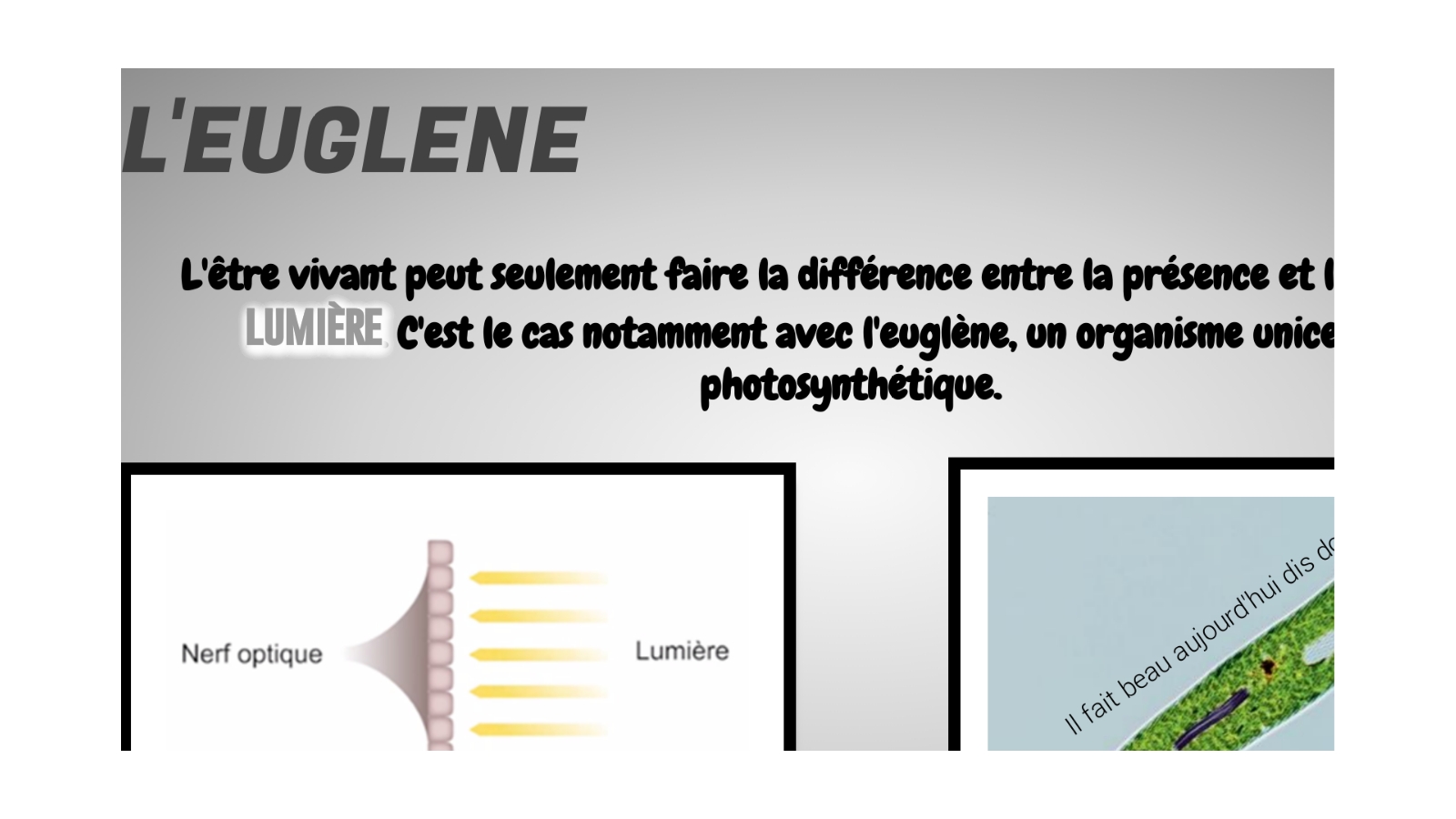 LES YEUX at emaze Presentation