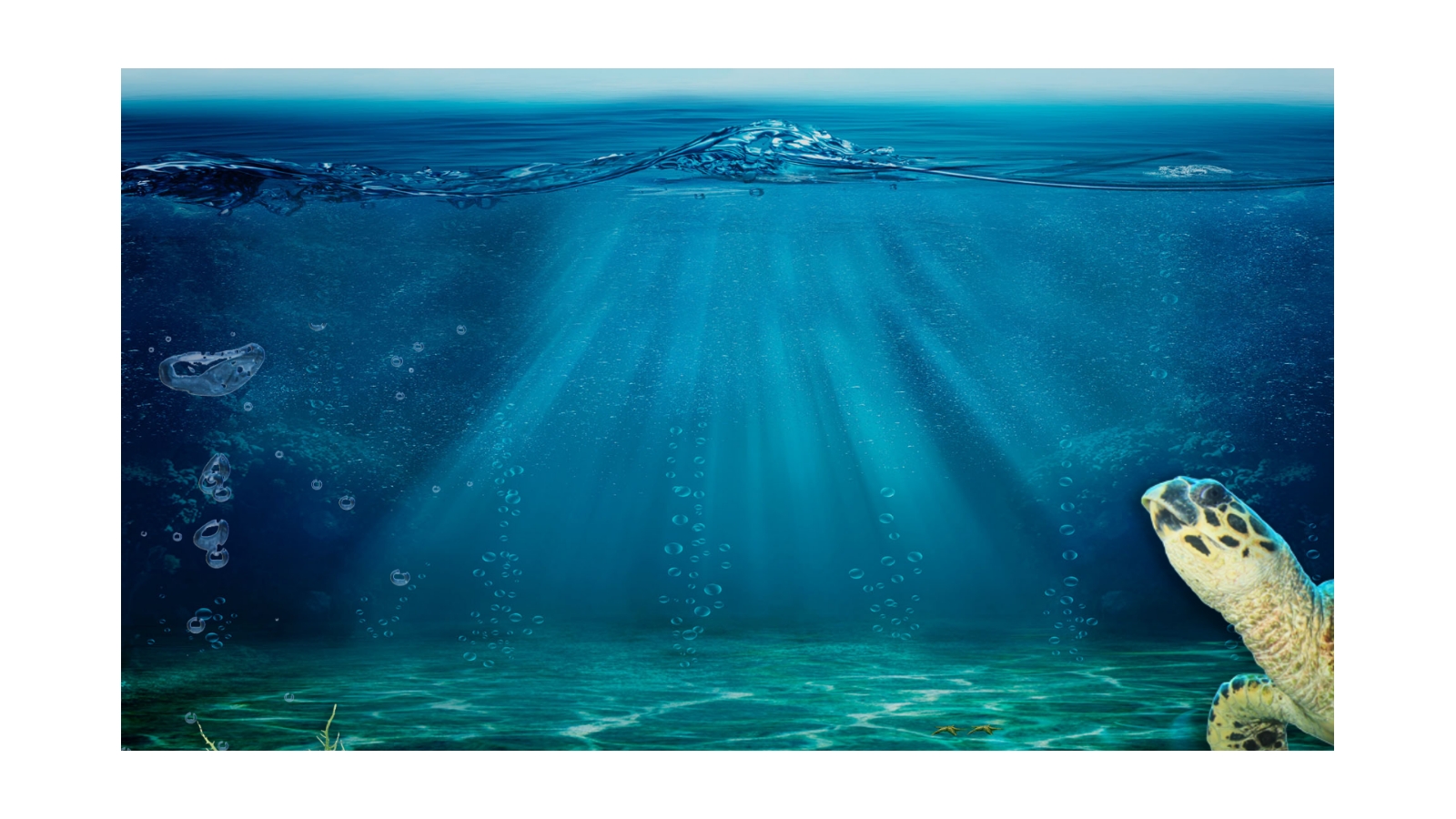 Environmental engineering zeynep at emaze Presentation