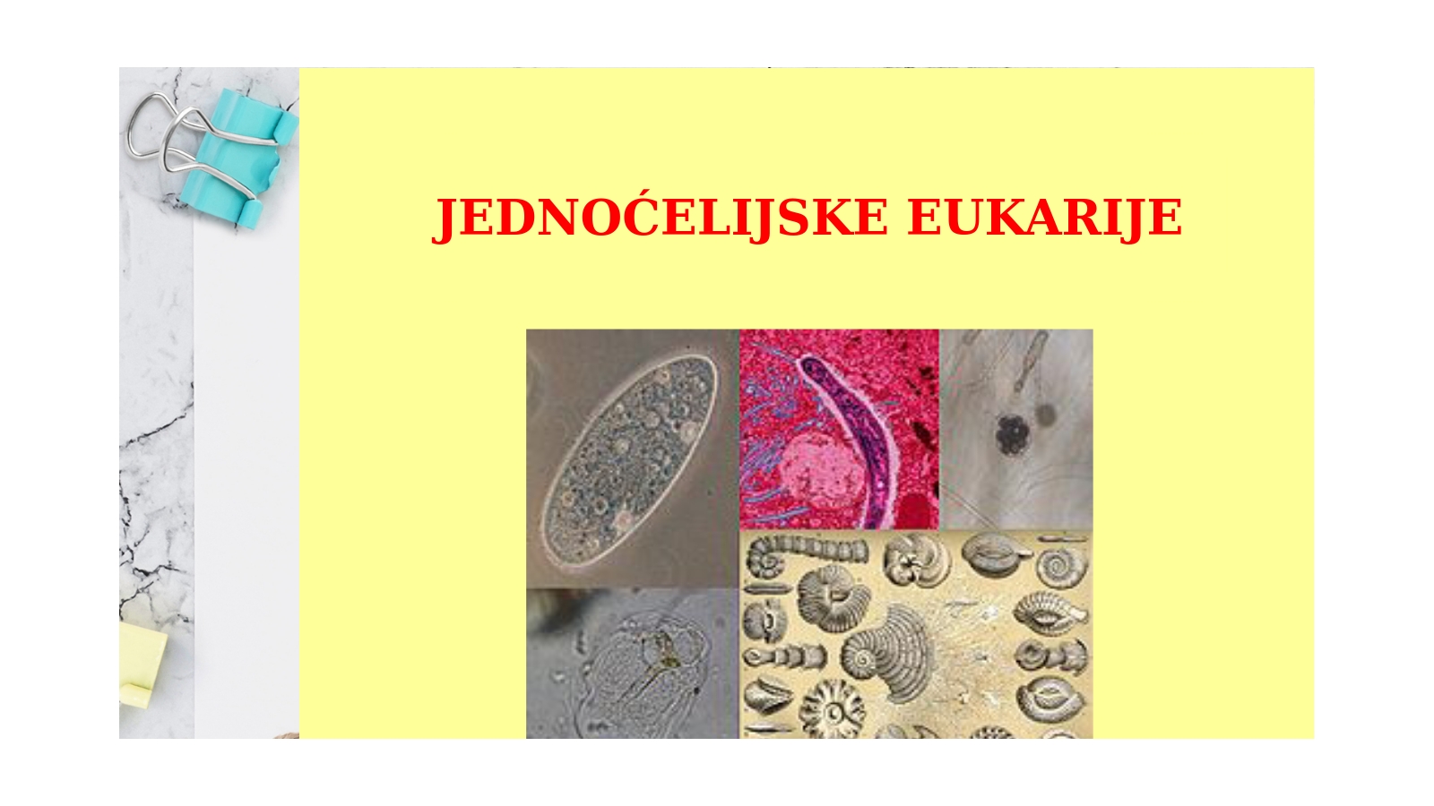 Jednoćelijske eukarije at emaze Presentation