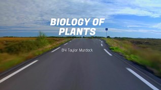 Taylor Murdock at emaze Presentation