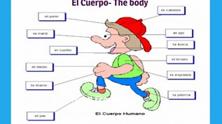 El cuerpo-The body at emaze Presentation